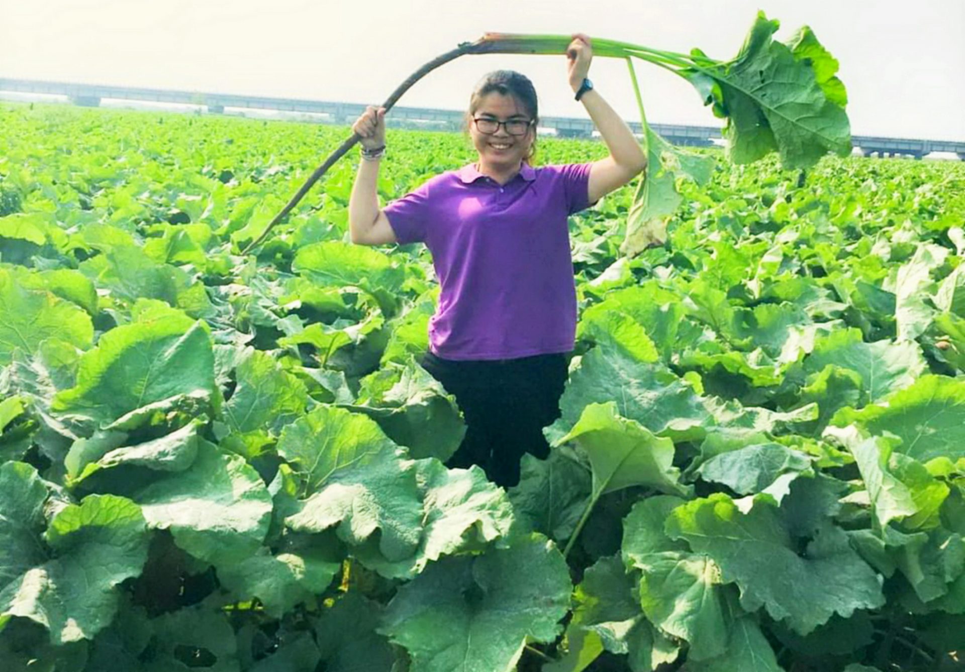 梧棲青農林馬雯 古法日曬牛蒡 | 中華日報|中華新聞雲