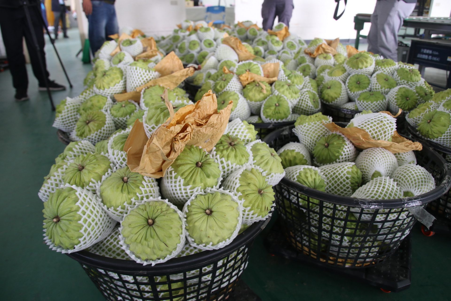 ECFA專題 惠台政策擬取消 台企業挫著等 | 中華日報|中華新聞雲